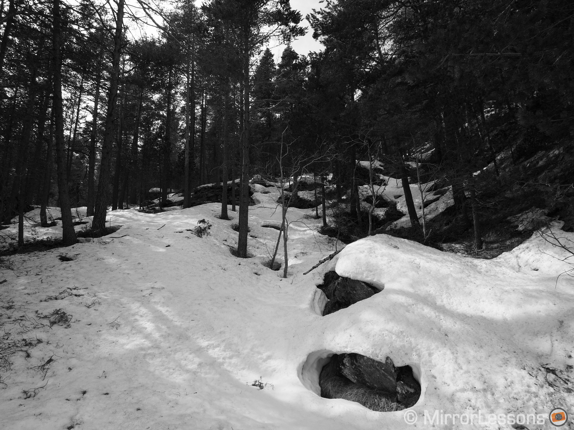 E-M1-champdupraz-BW-7