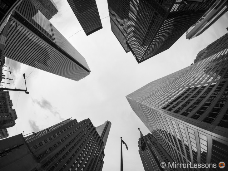 Fun with a fast fisheye – The Olympus M.Zuiko 8mm f/1.8 Fisheye Review
